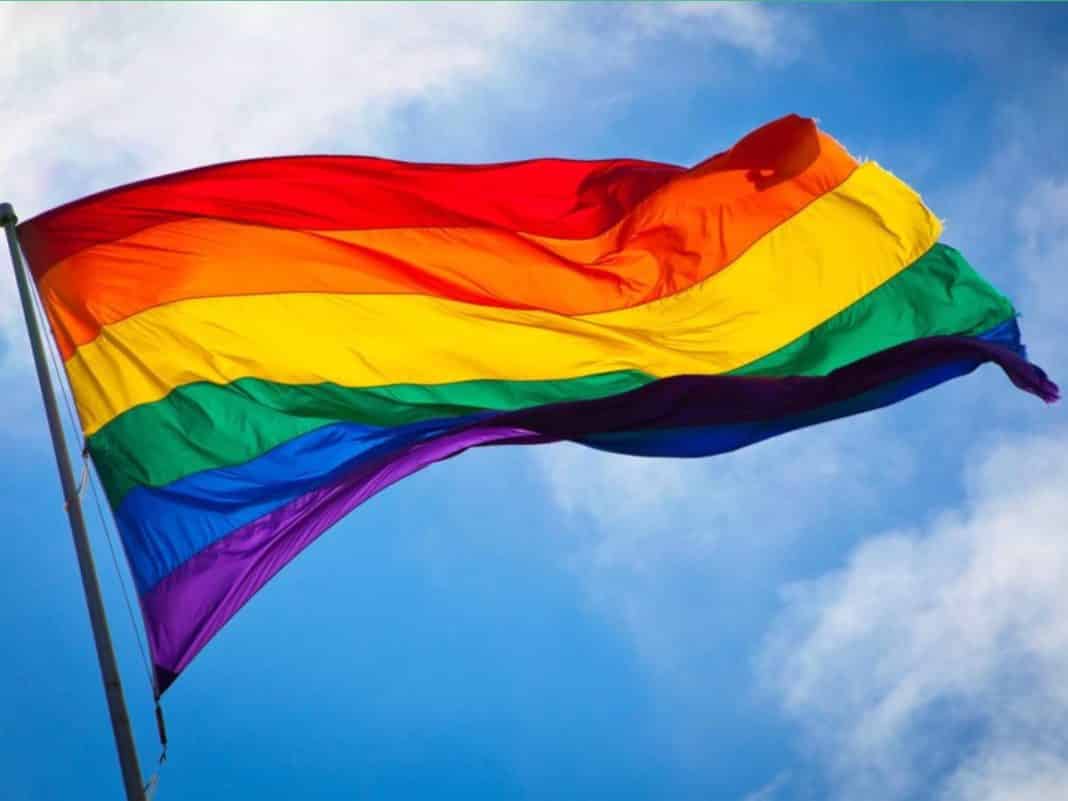 Conoce la historia de la bandera gay - Homosensual