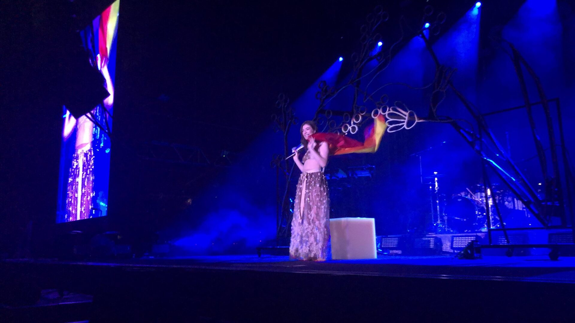 Razones por las que Lorde es un ícono LGBT+ - Homosensual