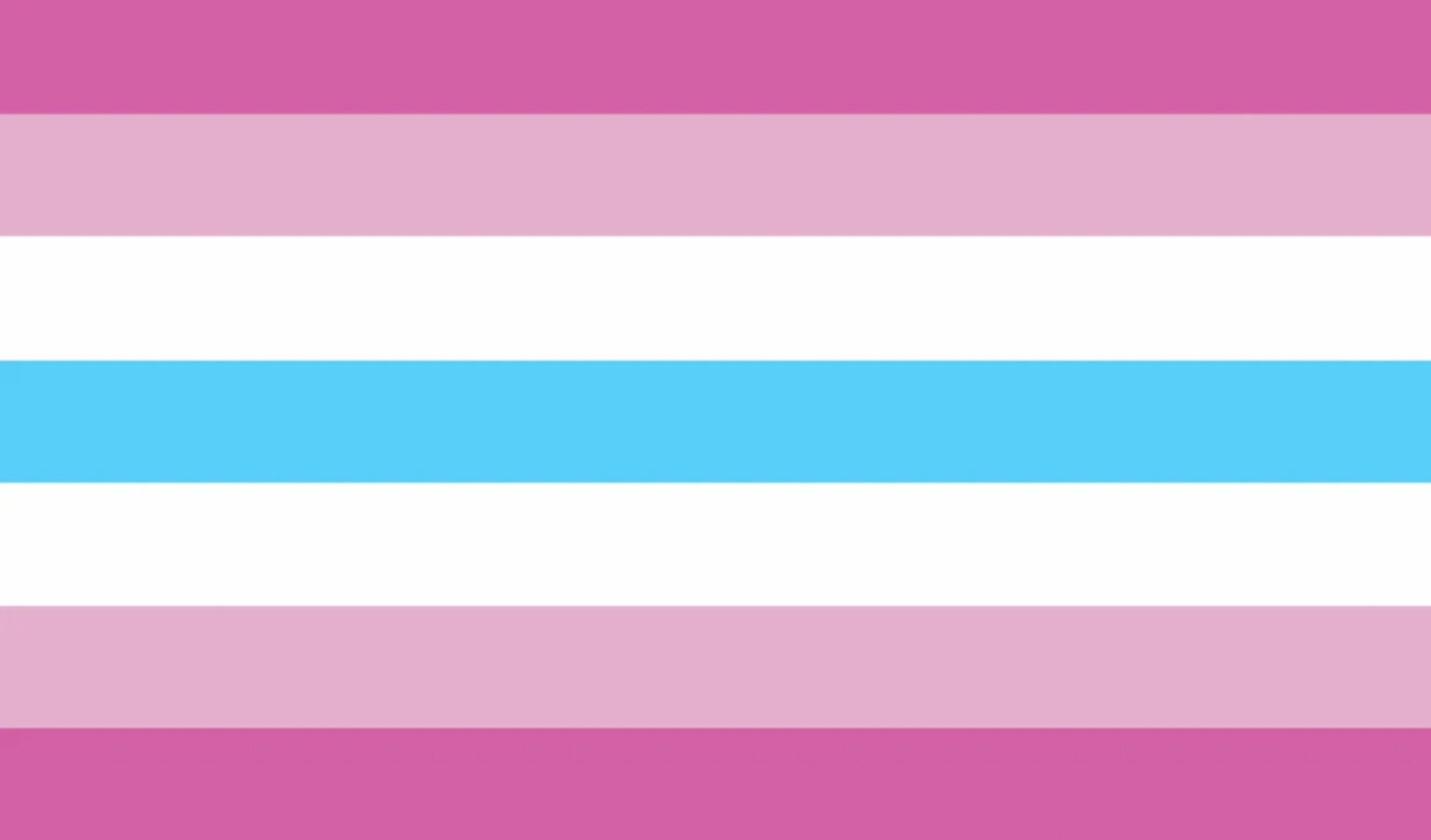 Colores, significado e historia de la bandera femboy - Homosensual