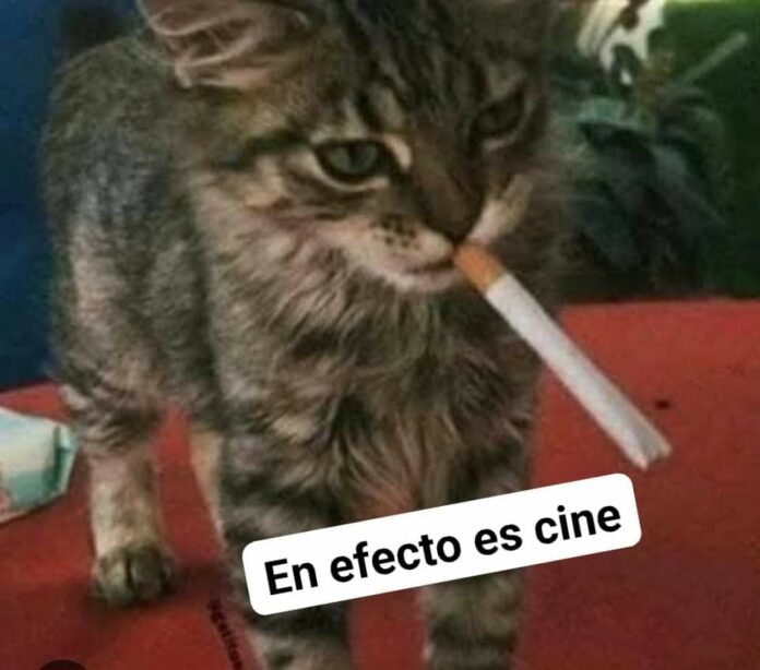 «Joder, esto sí es cine»: Origen y usos del meme - Homosensual