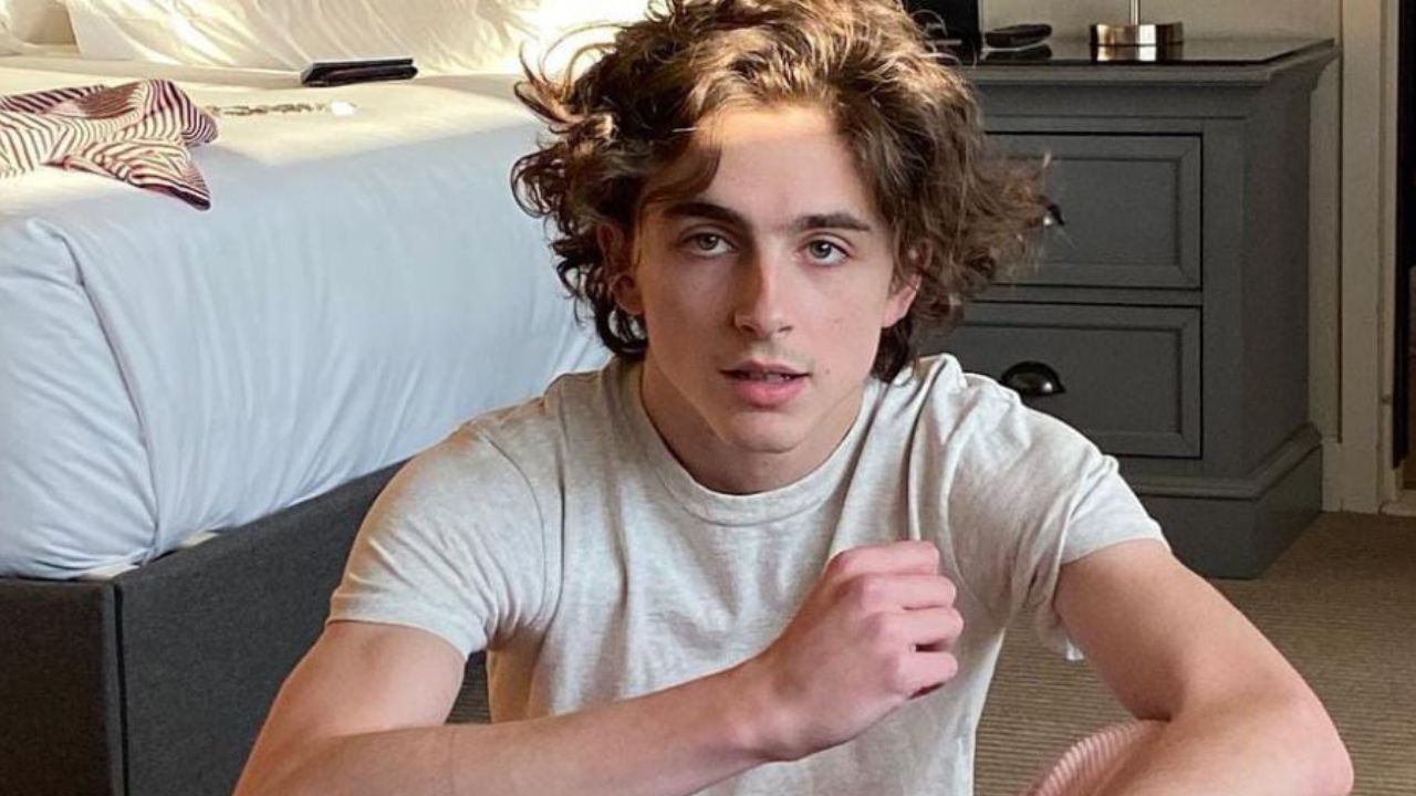 Timothée Chalamet Quién Es La Pareja Del Actor Homosensual